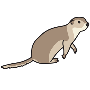 Media Gallery - Flashcards - Animals & Wildlife – Ellii (formerly ESL ...