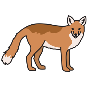 Media Gallery - Flashcards - Animals & Wildlife – Ellii (formerly ESL ...