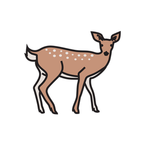 Media Gallery – Ellii (formerly ESL Library)