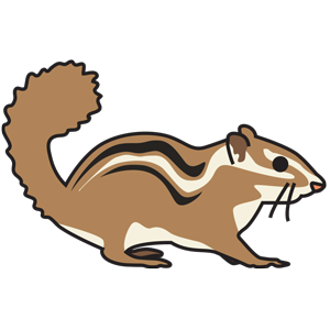 Media Gallery – Ellii (formerly ESL Library)