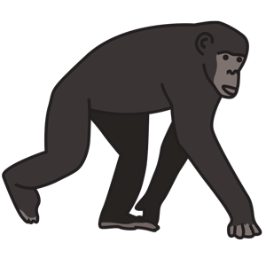 Media Gallery – Ellii (formerly ESL Library)