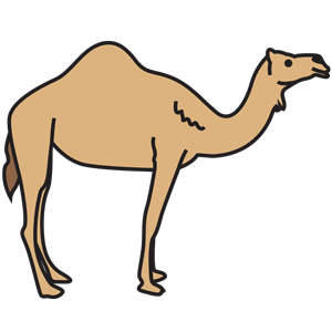 Media Gallery - Flashcards - Animals & Wildlife – Ellii (formerly ESL ...