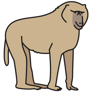 Media Gallery - Flashcards - Animals & Wildlife – Ellii (formerly ESL ...