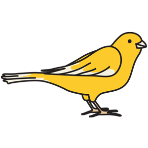 Media Gallery - Flashcards - Animals & Wildlife – Ellii (formerly ESL ...