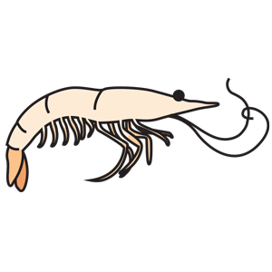 Media Gallery - Flashcards - Animals & Wildlife – Ellii (formerly ESL ...