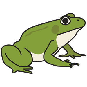 Media Gallery - Flashcards - Animals & Wildlife – Ellii (formerly ESL ...