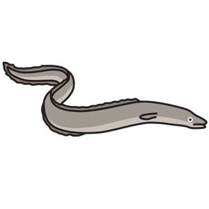 Media Gallery - Flashcards - Animals & Wildlife – Ellii (formerly ESL ...