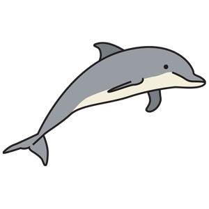 Media Gallery - Flashcards - Animals & Wildlife – Ellii (formerly ESL ...