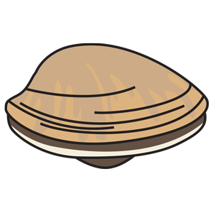 Media Gallery - Flashcards - Animals & Wildlife – Ellii (formerly ESL ...