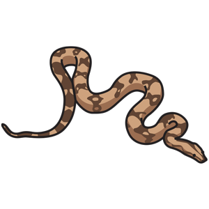 Animals & Wildlife – ESL Library