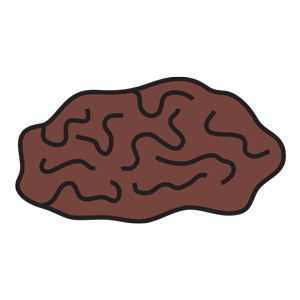 Media Gallery - Flashcards - Food & Drink – Ellii (formerly ESL Library)