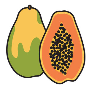 Media Gallery - Flashcards - Food & Drink – Ellii (formerly ESL Library)