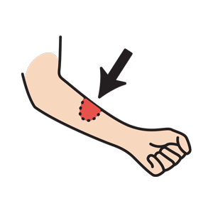 Media Gallery - Flashcards - Body, Health & Medicine – Ellii (formerly ...