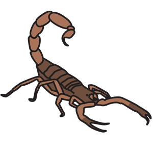 Media Gallery - Flashcards - Animals & Wildlife – Ellii (formerly ESL ...