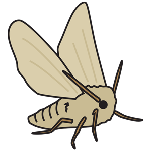 Media Gallery - Flashcards - Animals & Wildlife – Ellii (formerly ESL ...