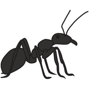 Media Gallery - Flashcards - Animals & Wildlife – Ellii (formerly ESL ...