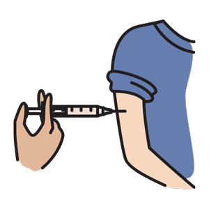 Media Gallery - Flashcards - Body, Health & Medicine – Ellii (formerly ...