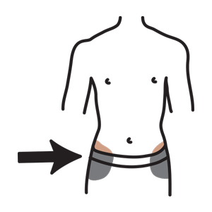 Media Gallery - Flashcards - Body, Health & Medicine – Ellii (formerly ...