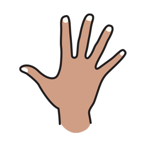 Media Gallery - Flashcards - Body, Health & Medicine – Ellii (formerly ...