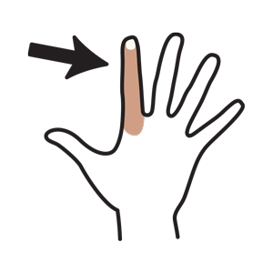 Media Gallery - Flashcards - Body, Health & Medicine – Ellii (formerly ...