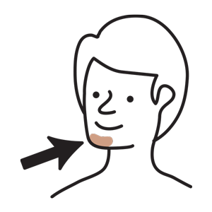 Media Gallery - Flashcards - Body, Health & Medicine – Ellii (formerly ...