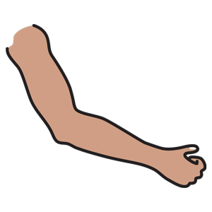 Media Gallery - Flashcards - Body, Health & Medicine – Ellii (formerly ...