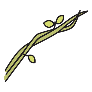 Media Gallery - Flashcards - Weather, Nature & Environment – Ellii ...