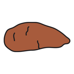 Media Gallery - Flashcards - Food & Drink – Ellii (formerly ESL Library)