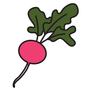 Media Gallery - Flashcards - Food & Drink – Ellii (formerly ESL Library)