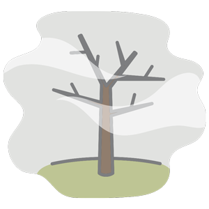 Weather, Nature & Environment – ESL Library