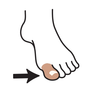 Media Gallery - Flashcards - Body, Health & Medicine – Ellii (formerly ...