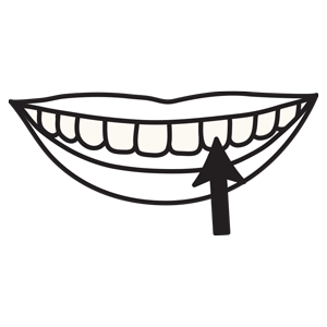 Media Gallery - Flashcards - Body, Health & Medicine – Ellii (formerly ...