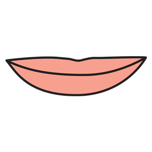 Media Gallery - Flashcards - Body, Health & Medicine – Ellii (formerly ...