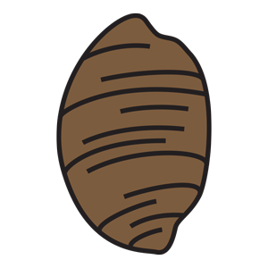 Media Gallery - Flashcards - Food & Drink – Ellii (formerly ESL Library)