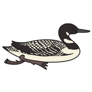 Media Gallery – Ellii (formerly ESL Library)