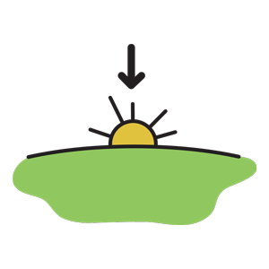 Media Gallery - Flashcards - Grammar & Punctuation – Ellii (formerly ...