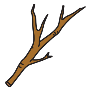 Media Gallery - Flashcards - Weather, Nature & Environment – Ellii ...