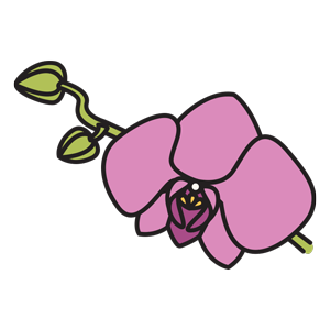 Media Gallery - Flashcards - Weather, Nature & Environment – Ellii ...