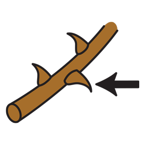 Media Gallery - Flashcards - Weather, Nature & Environment – Ellii ...