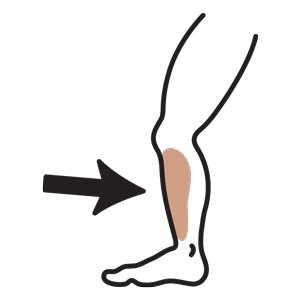 Media Gallery - Flashcards - Body, Health & Medicine – Ellii (formerly ...