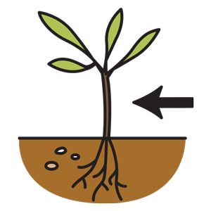 Media Gallery - Flashcards - Weather, Nature & Environment – Ellii ...