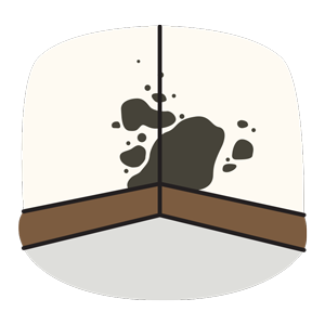 Media Gallery - Flashcards - Body, Health & Medicine – Ellii (formerly ...