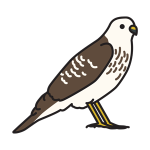 Media Gallery – Ellii (formerly ESL Library)