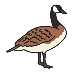 Media Gallery – Ellii (formerly ESL Library)