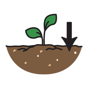 Media Gallery - Flashcards - Housing & Tools – Ellii (formerly ESL Library)