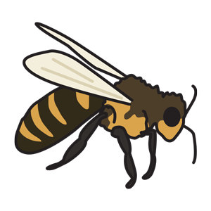 Media Gallery - Flashcards - Phonics & Pronunciation – Ellii (formerly ...