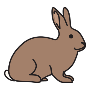 Media Gallery - Flashcards - Letters & Numbers – Ellii (formerly ESL ...