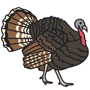 Media Gallery - Flashcards - Animals & Wildlife – Ellii (formerly ESL ...