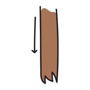 Media Gallery - Flashcards - Body, Health & Medicine – Ellii (formerly ...