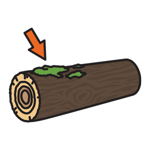 Media Gallery - Flashcards - Miscellaneous – Ellii (formerly ESL Library)